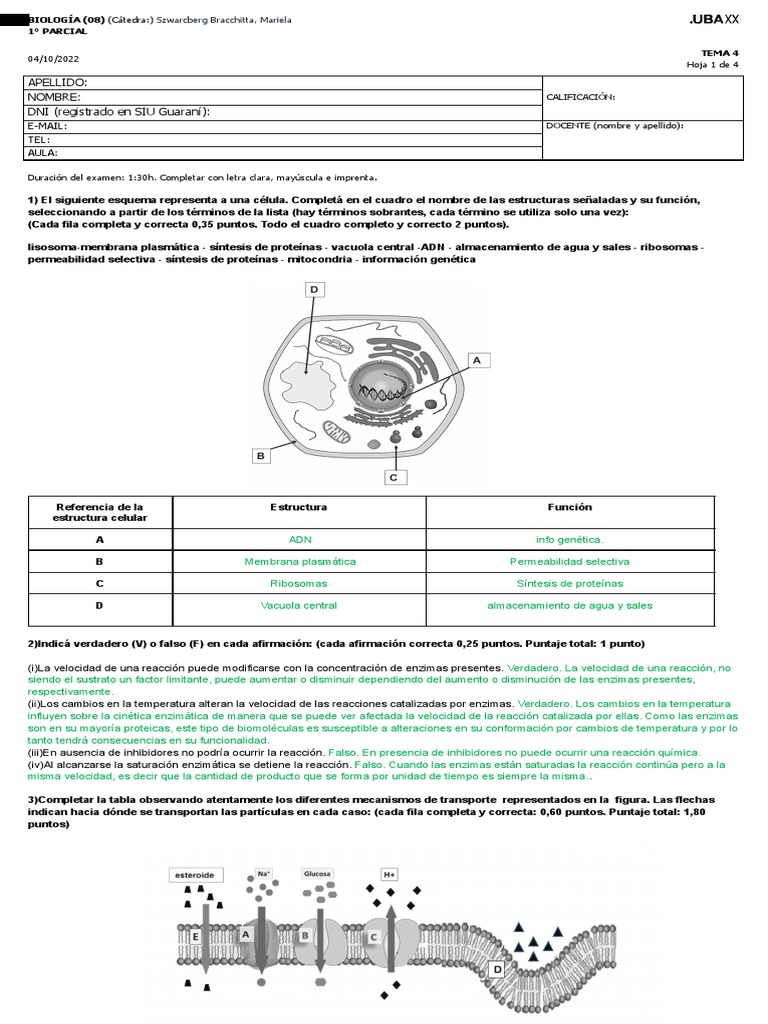 Examen Final Biología para Practicar | PDF | Retículo endoplásmico ...