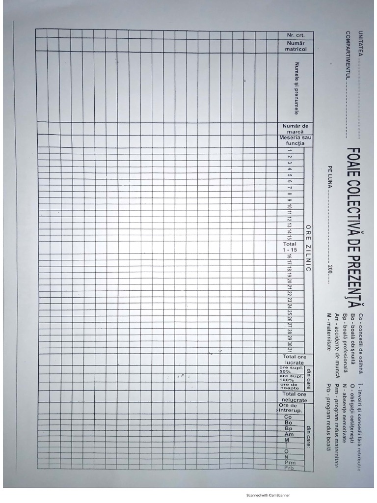 Pontaj Normal Gol | PDF