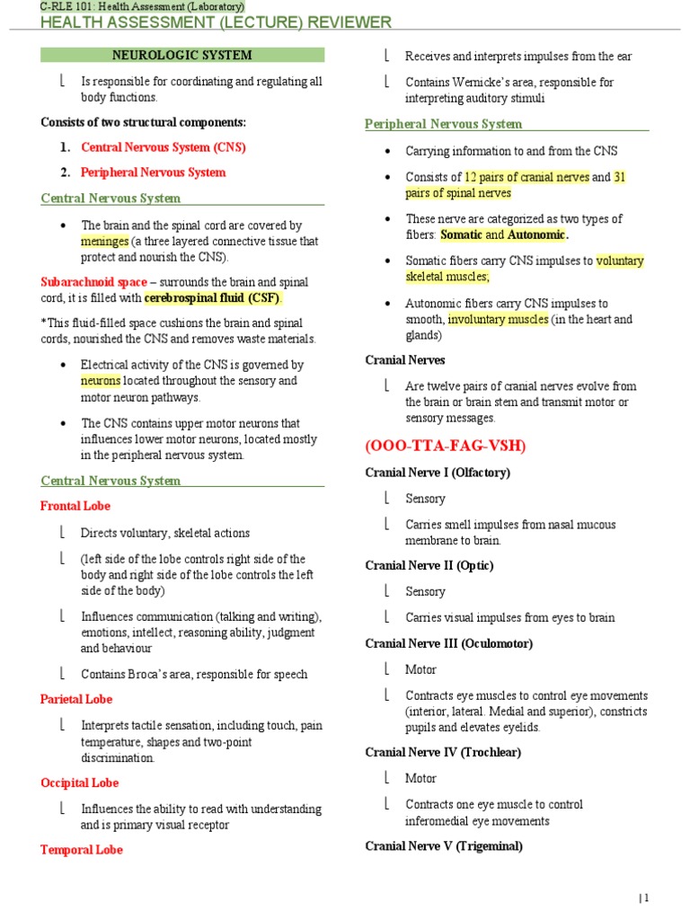 Reviewer For RLE 101 | PDF | Central Nervous System | Vagina