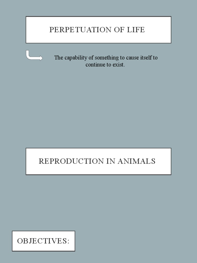Perpetuation of Life Animal Reproduction | PDF | Reproduction | Sexual ...