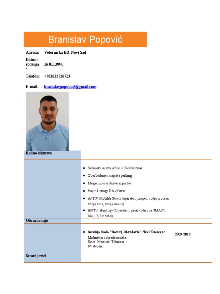 Branislav Popovic CV | PDF