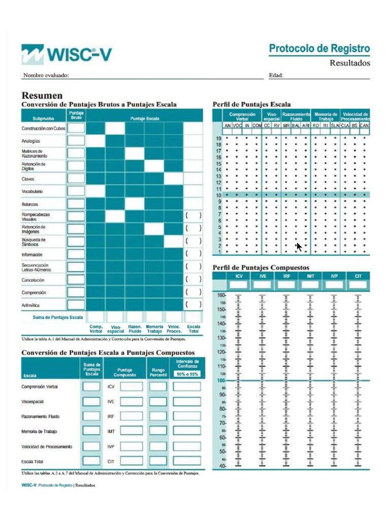 Protocolo de Registro WISC V | PDF
