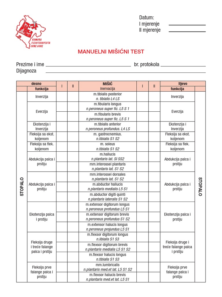 Manuelni Misicni Test | PDF