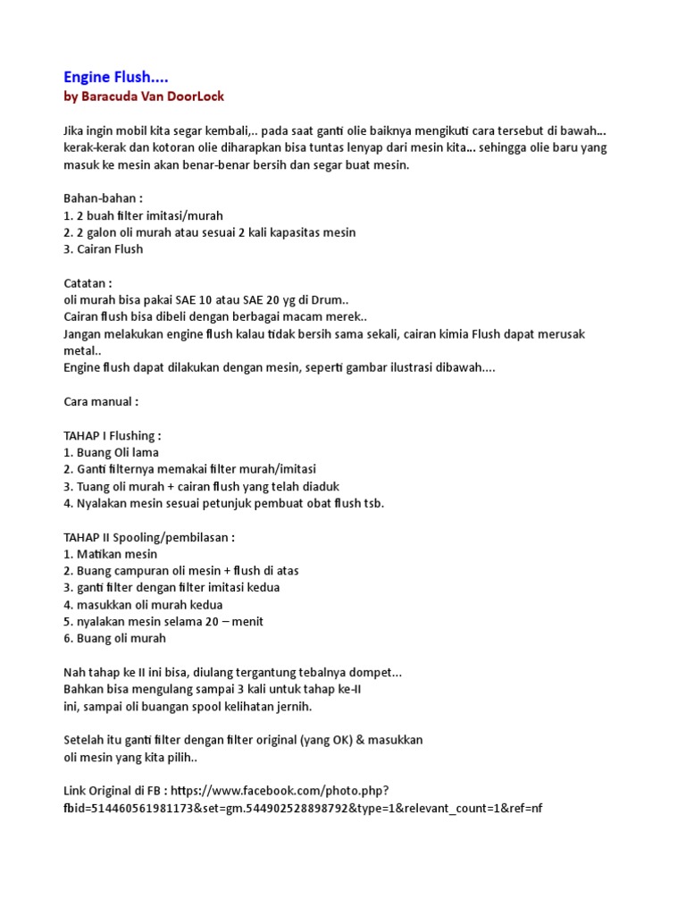 Engine Flushing Procedure | PDF