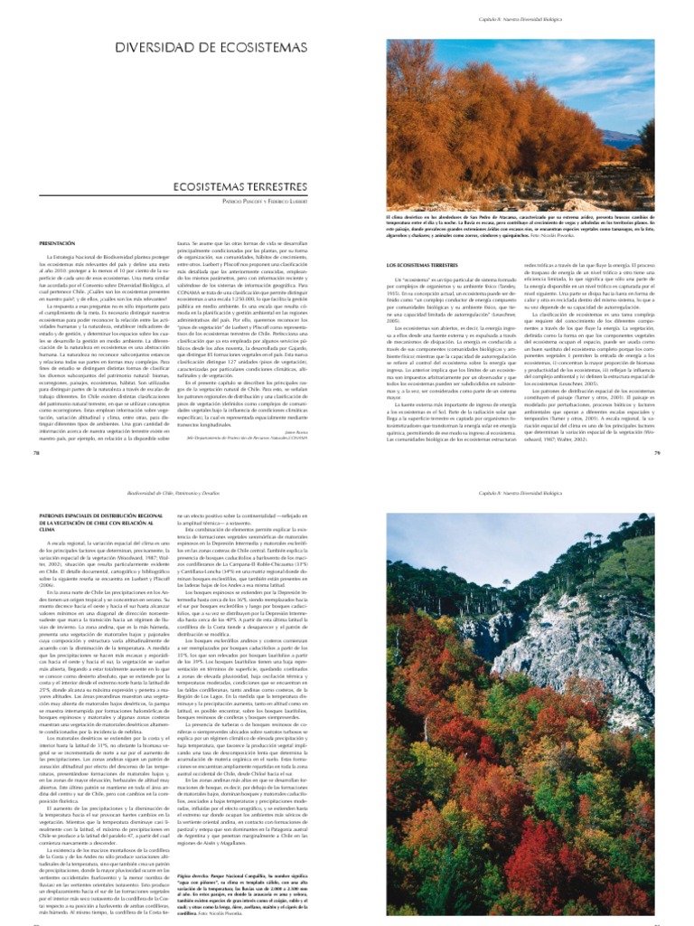 Biodiversidad Ecosistema | PDF | Ecosistema | Clima