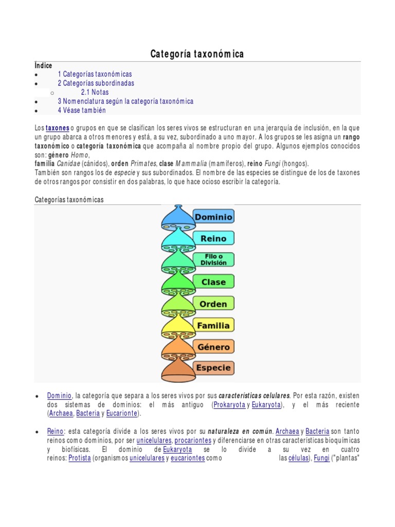 Categorias Taxonomicas | PDF | Eucariotas | Homo Sapiens