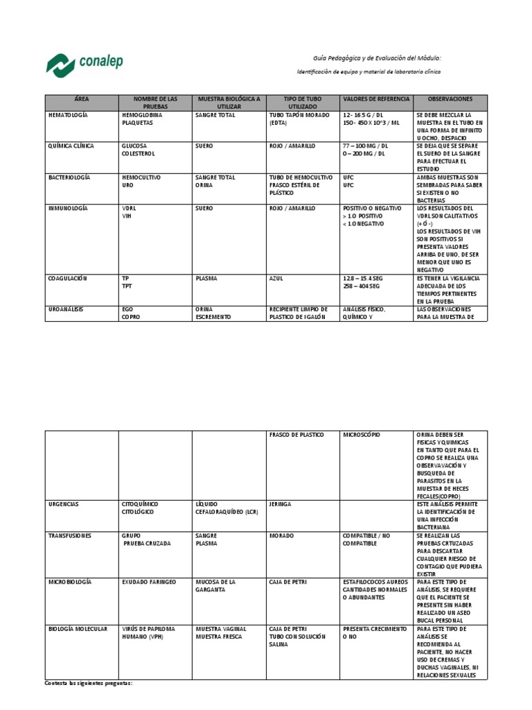 Evidencia Conalep Rox | PDF