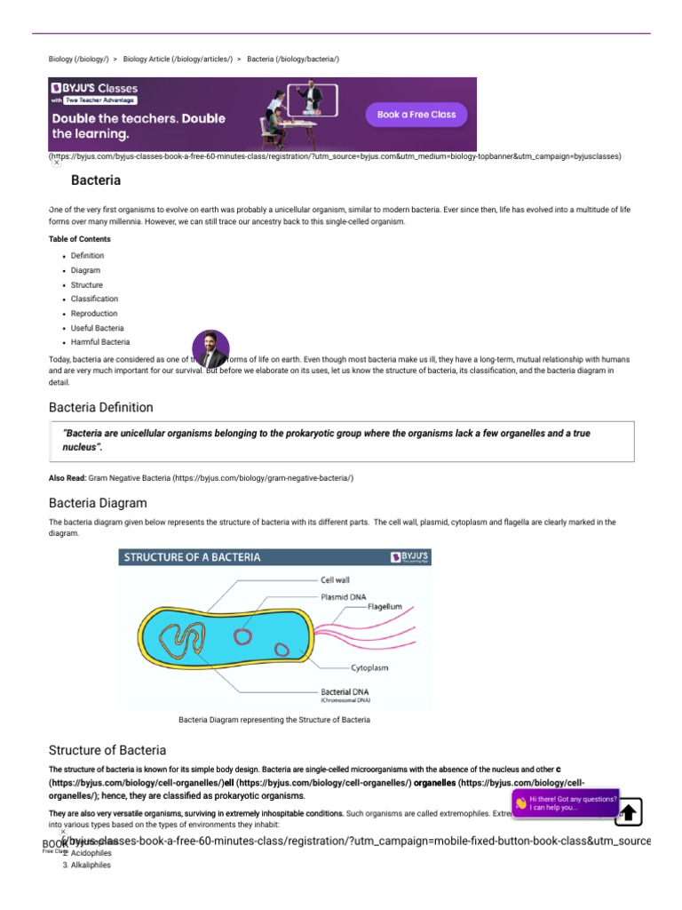 Bacteria - Definition, Structure, Diagram, Classification | PDF ...