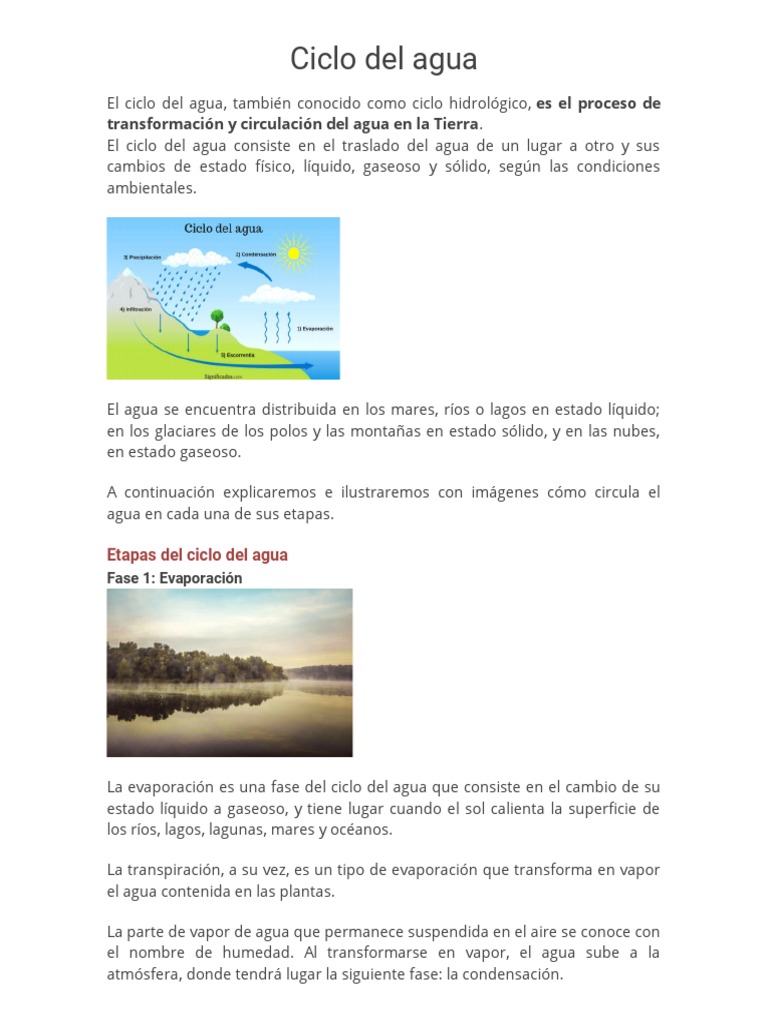 El Ciclo del Agua: Fases y Importancia | PDF | El ciclo del agua | Agua