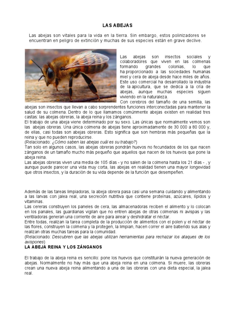 Las Abejas | PDF | Abejas | Miel