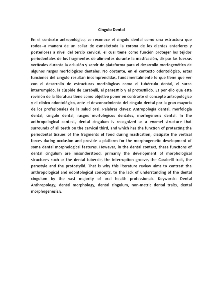 Cíngulo Dental: Funciones y Morfología | PDF