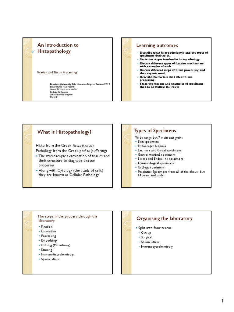 Histology Lecture 2017 Handout | PDF | Fixation (Histology ...