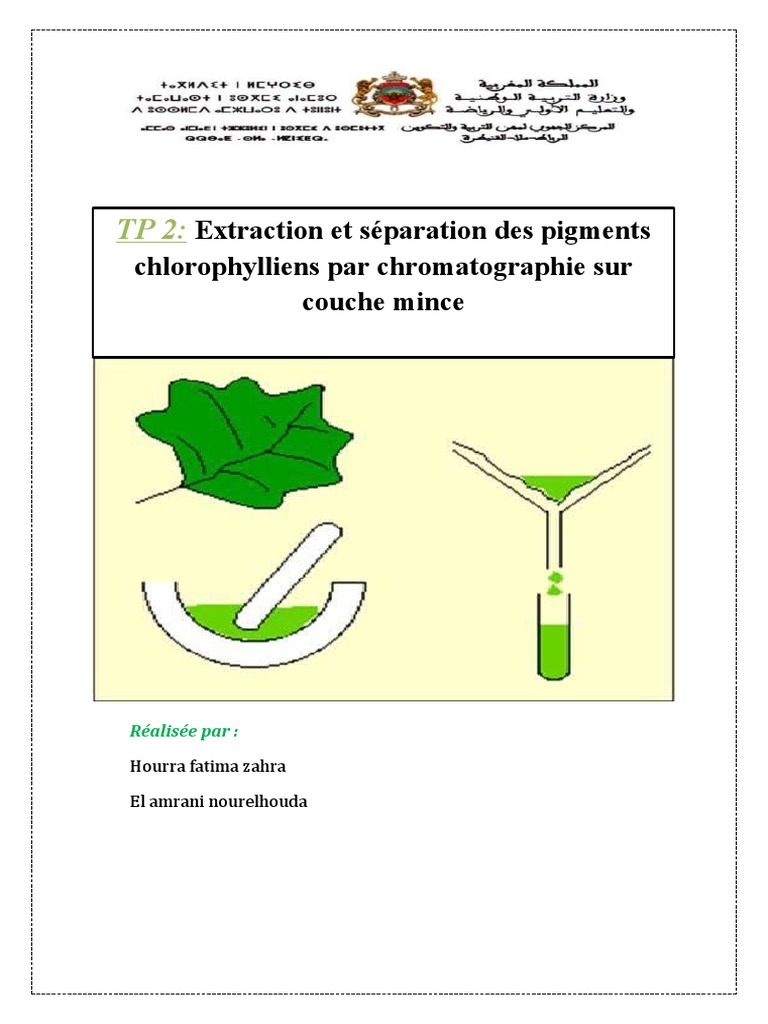 Extraction des pigments chlorophylliens | PDF | Photosynthèse ...