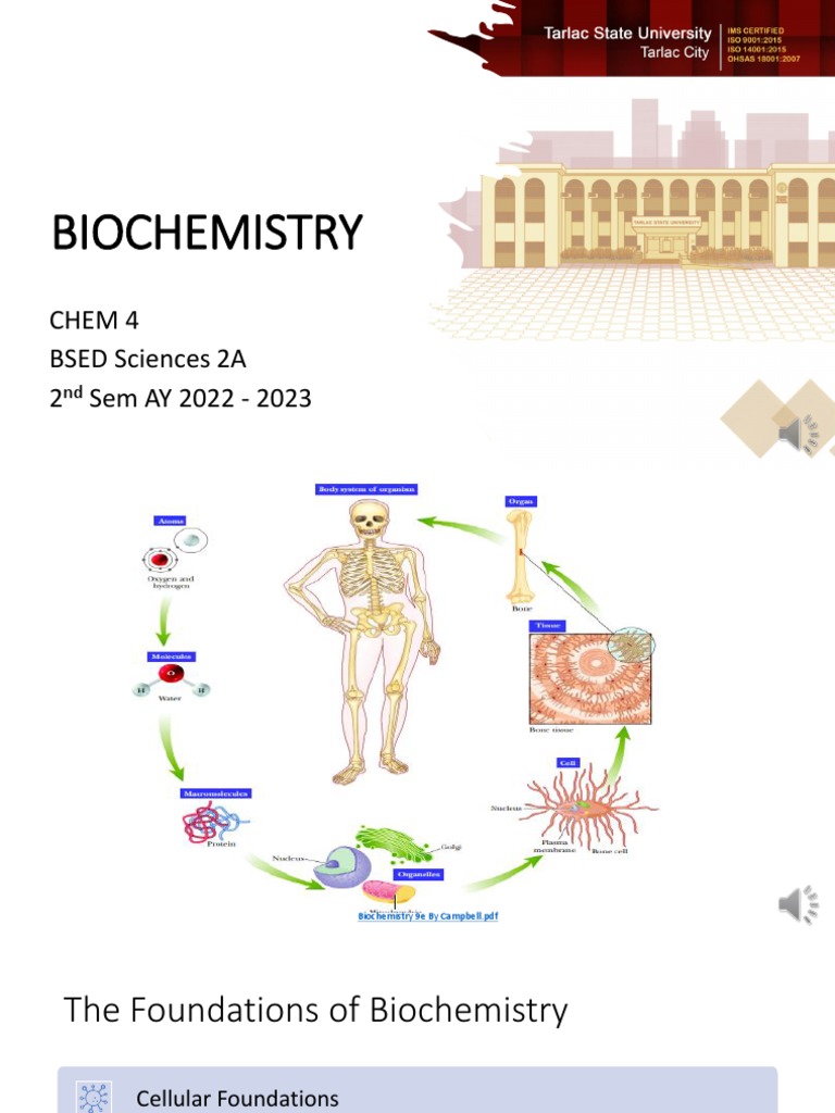Lecture 1 Foundations of Chemistry | PDF | Cell (Biology) | Genetic Code