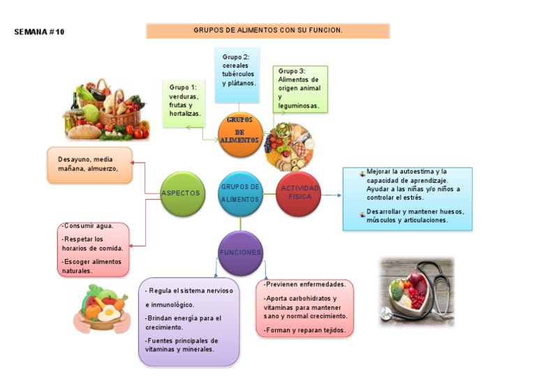 Mapa Mental de Alimentos 2 FINAL | PDF | Alimentos | Nutrición