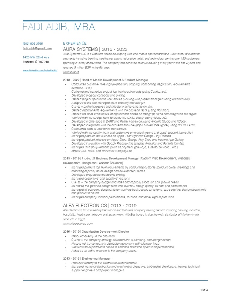 Fadi Adib's Resume: A Career Journey in Software Development, Product ...