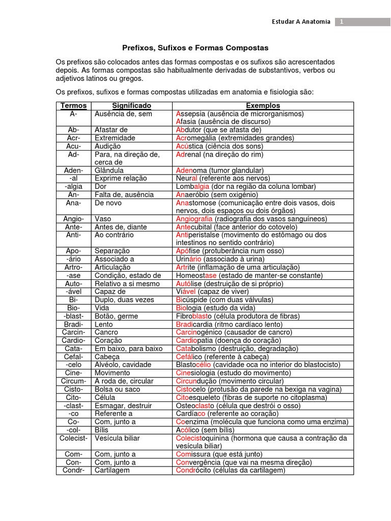 Prefixos e Sufixos em Anatomia | PDF | Coração | Anatomia
