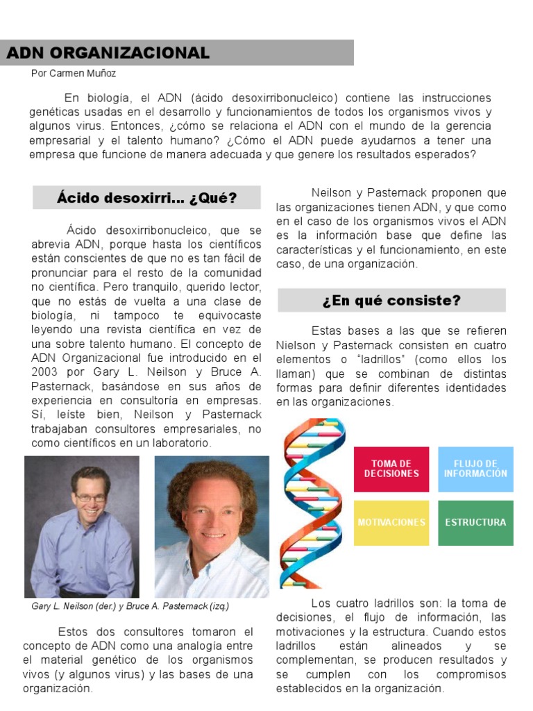 ADN Organizacional | PDF | Adn | Organismos