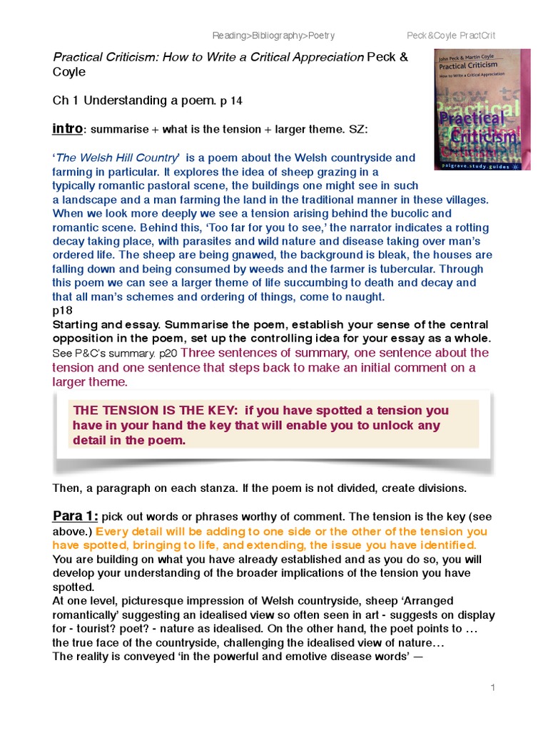 Reading Poetry Critically | PDF | Poetry