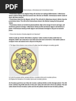 Amoeba Sisters_ Plants-Diversity, Structure & Adaptations Video | PDF ...