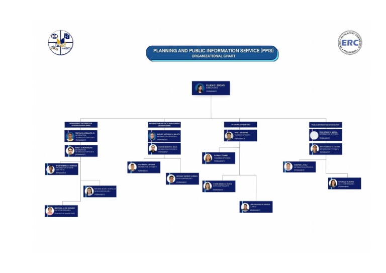 1.c) PPIS Organizational Chart | PDF