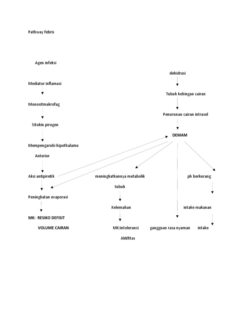 Pathway Febris | PDF