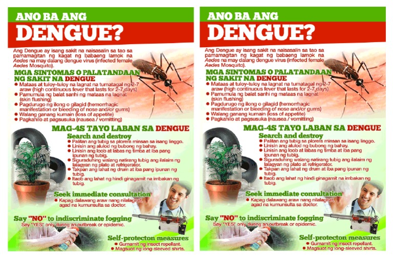 Dengue Flyer | PDF