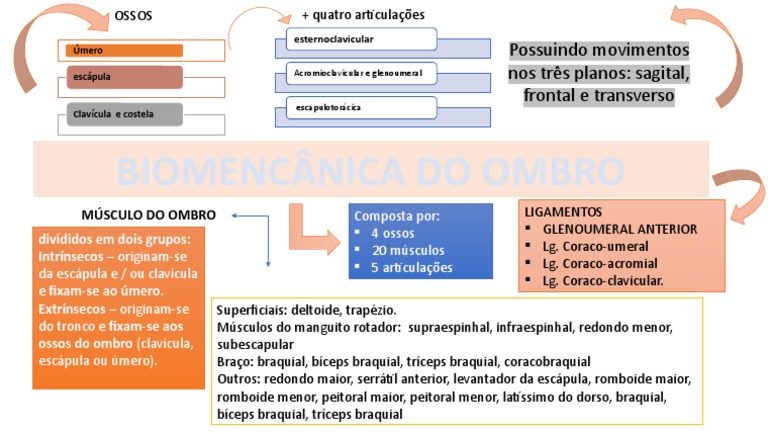 Mapa Mental - Ombro | PDF