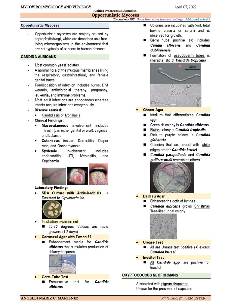6 Opportunistic-Mycoses | PDF | Candida (Fungus) | Candidiasis