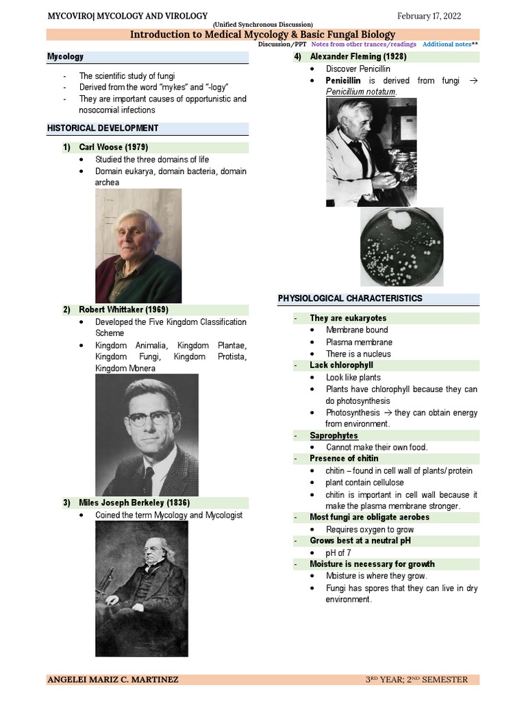 1 - Introduction To Medical Mycology Basic Fungal Biology | PDF ...