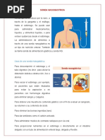 GUÍA de PROCEDIMIENTOS Control de La Diuresis | PDF | Vejiga urinaria ...