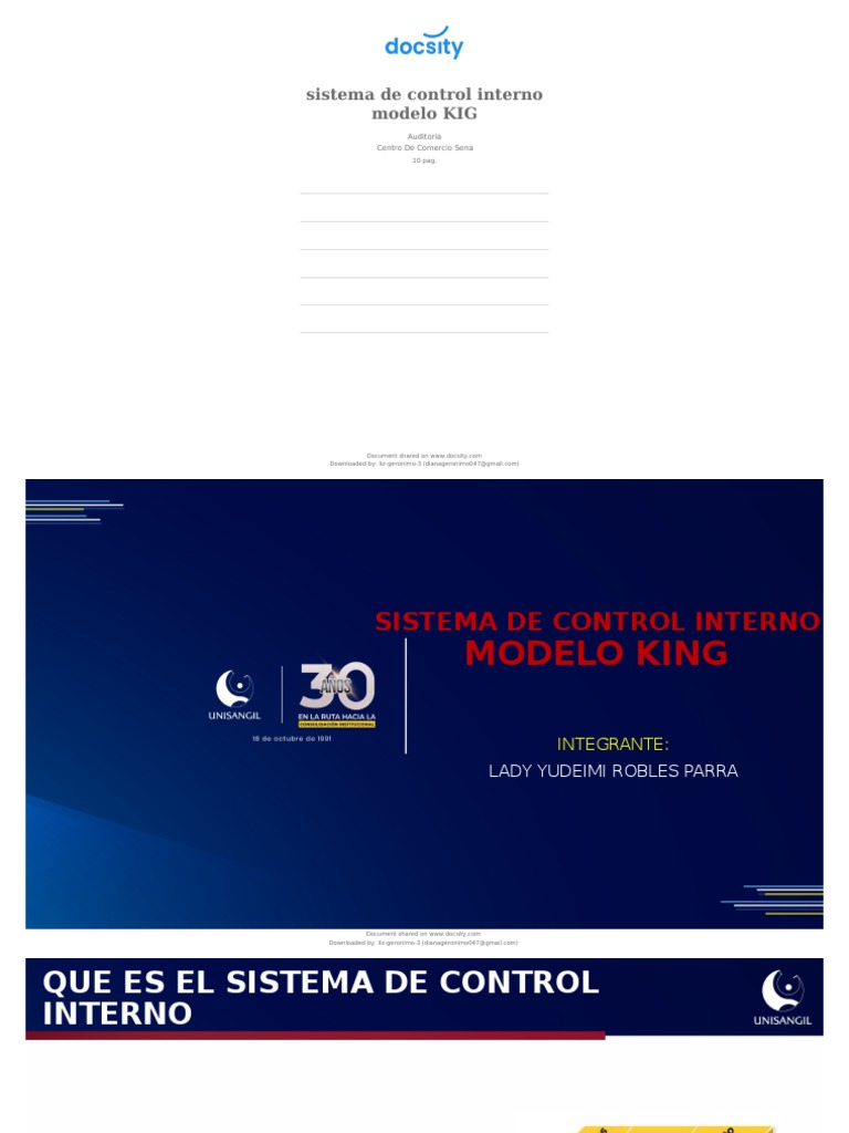 Docsity Sistema de Control Interno Modelo Kig | PDF | Auditoría ...