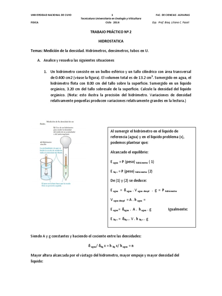 Trabajo Practico N 2 Hidrostatica Temas | PDF | Presión | Densidad