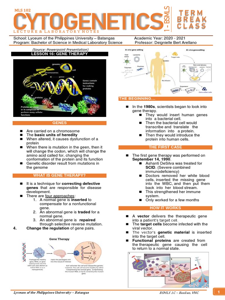 Cytogenetics Transes Topic 16 | PDF | Gene Therapy | Viral Vector