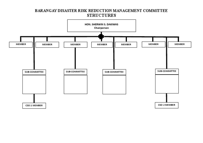 Structures: Barangay Disaster Risk Reduction Management Committee | PDF