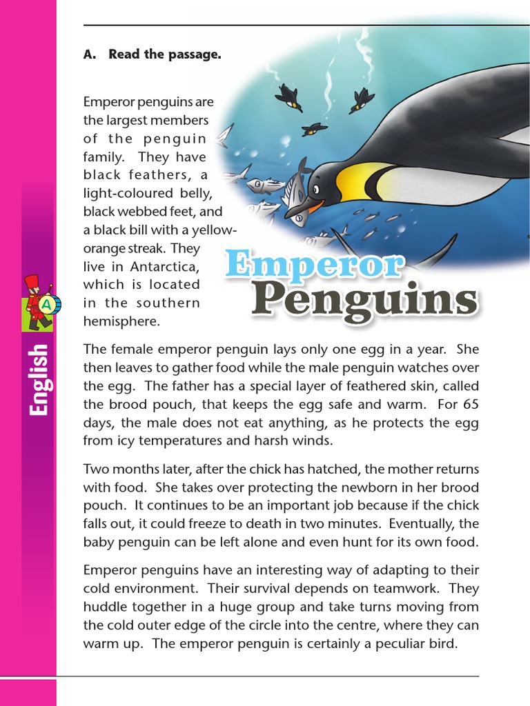 Emperor Penguins: Adapting to the Antarctic | PDF | Penguin | Birds