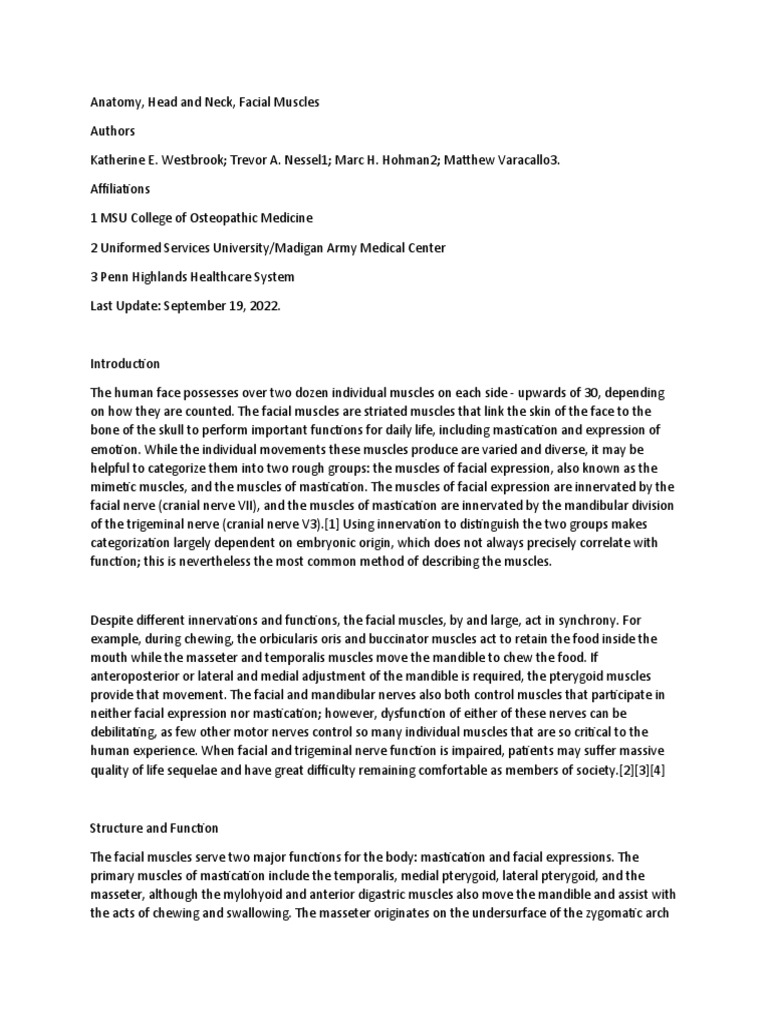 Anatomy Facial Muscles | PDF | Human Head And Neck | Human Anatomy
