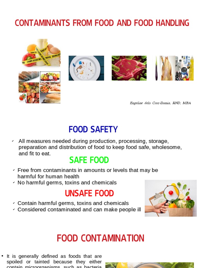 Food Contamination and Safety Basics | PDF | Foodborne Illness | Bacteria
