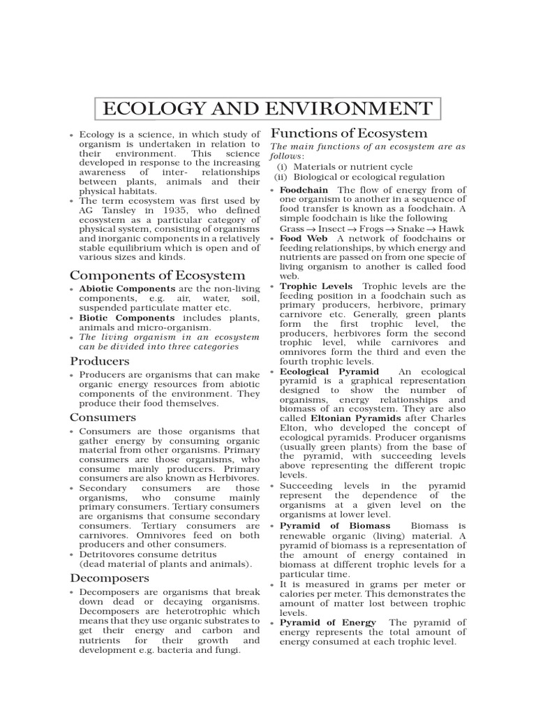 Understanding Ecosystems: A Comprehensive Look at Ecology, Environmental Components, Food Webs ...