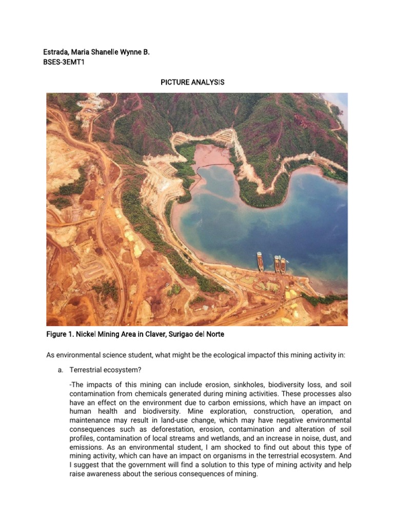 Picture Analysis | PDF