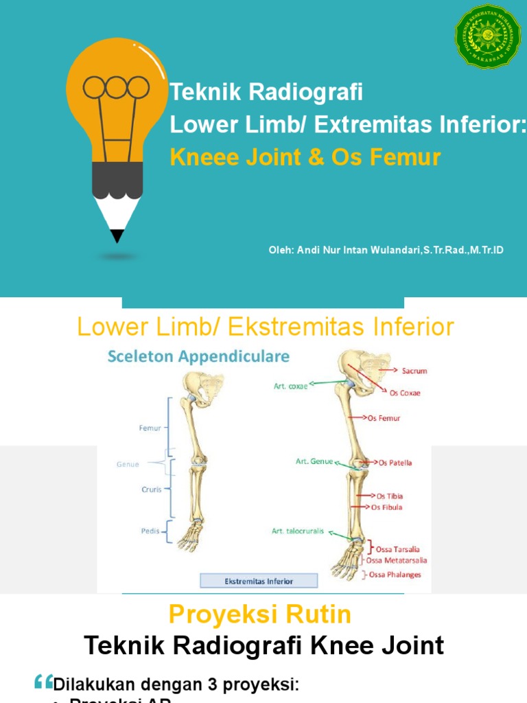 Teknik Radiografi Knee Joint & Os Femur | PDF