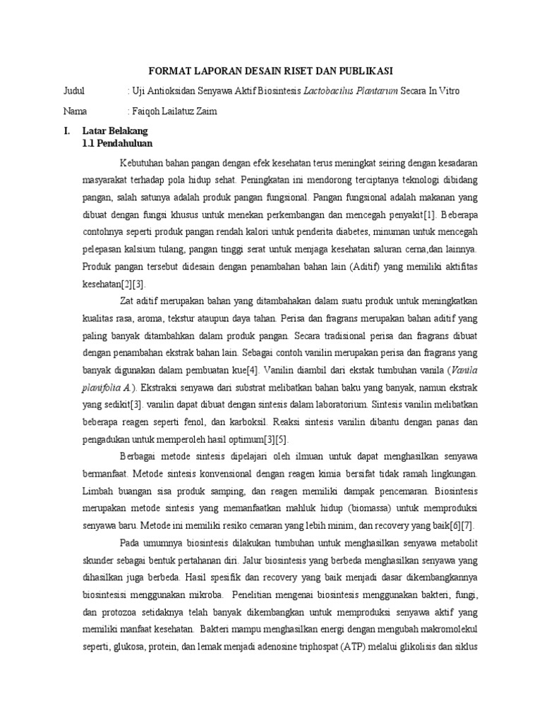 Format Laporan Desain Riset Dan Publikasi Edit | PDF