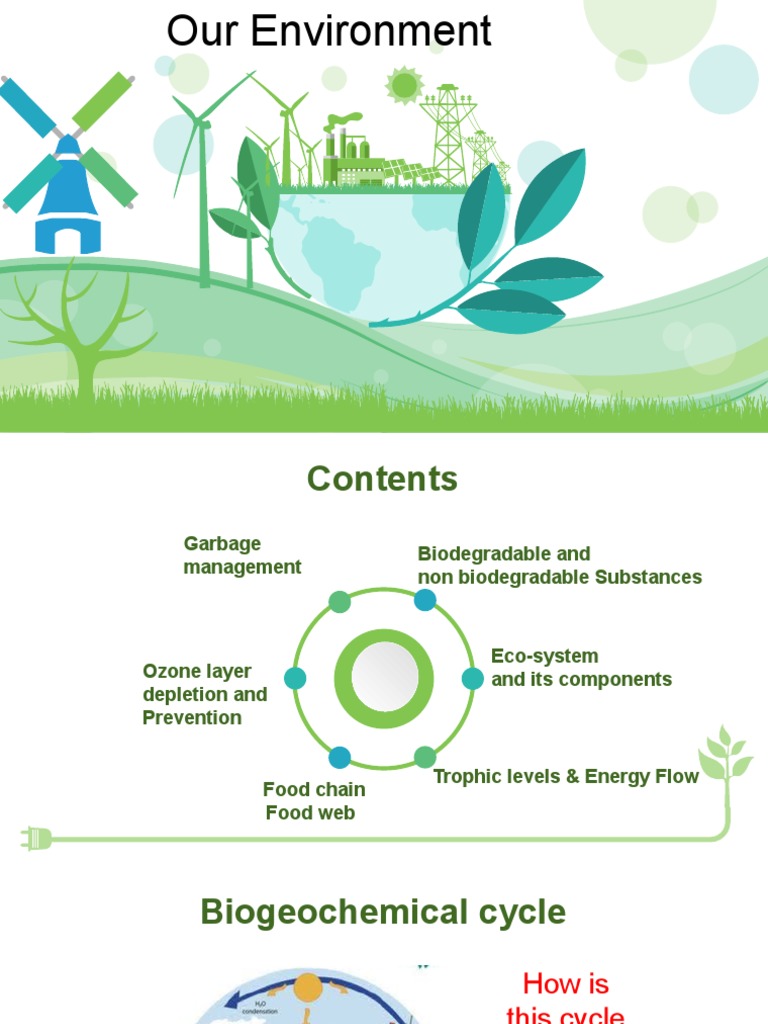 Our Environment - Class X | PDF | Ozone Depletion | Chlorofluorocarbon
