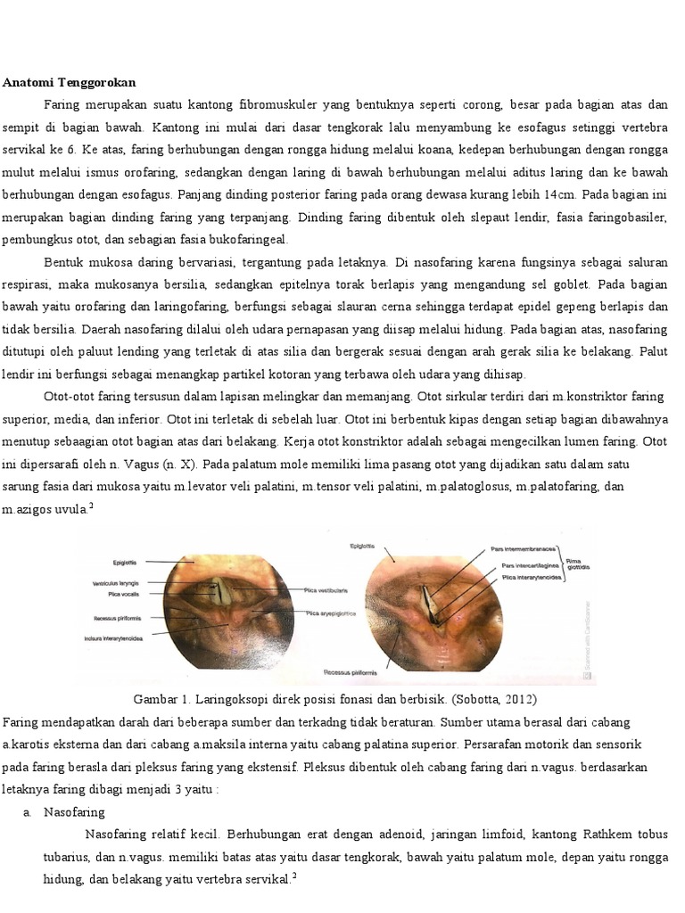 Anatomi Tenggorokan | PDF