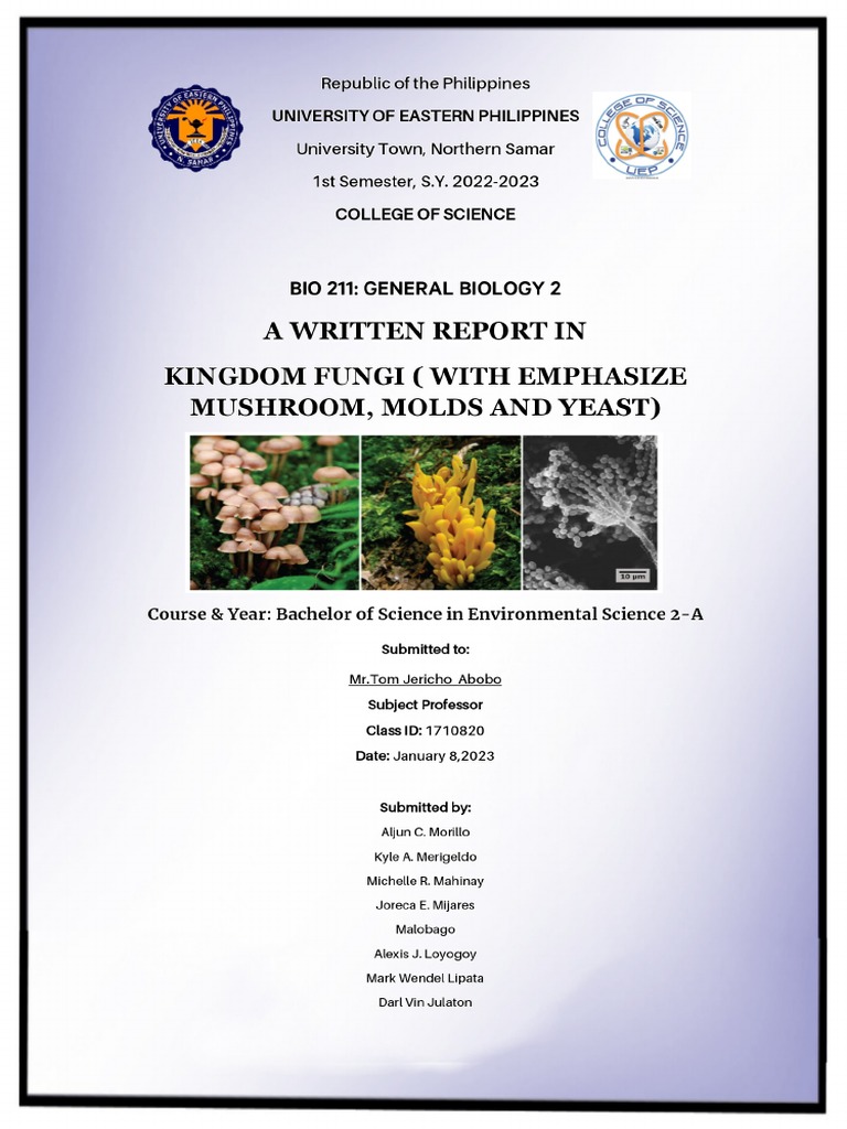 Written Report in Kingdom Fungi | PDF