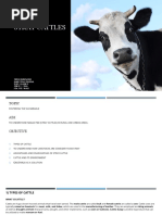 gAUSHALA PROJECT REPORT | PDF | Cattle | Biogas