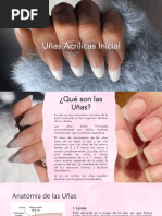 Guía de Polygel | PDF | Clavo (anatomía)