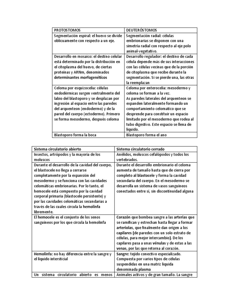 Protostomos y Deuterostomos | PDF | Corazón | Anatomía