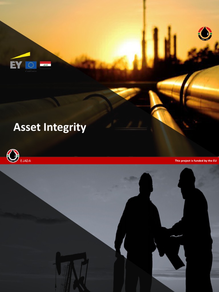 EU-Funded Asset Integrity Management Guide | PDF | Nondestructive ...