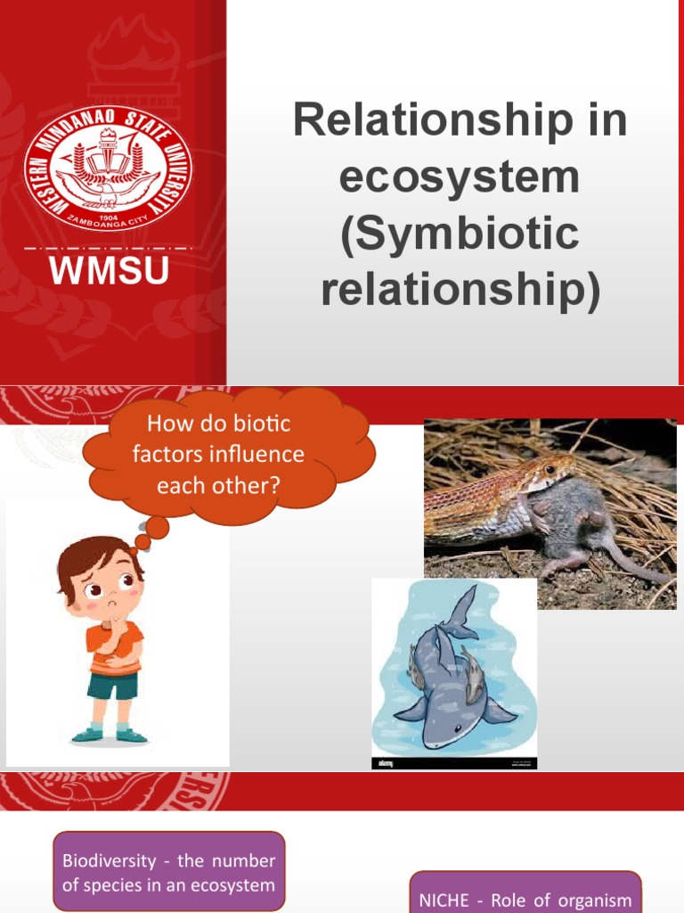 Relationship in Ecosystem Symbiotic Relationship | PDF | Symbiosis ...